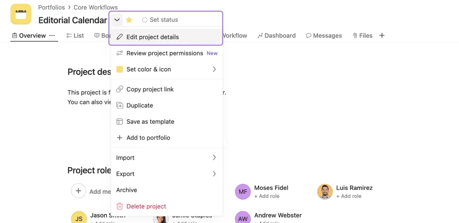 Project overview tab