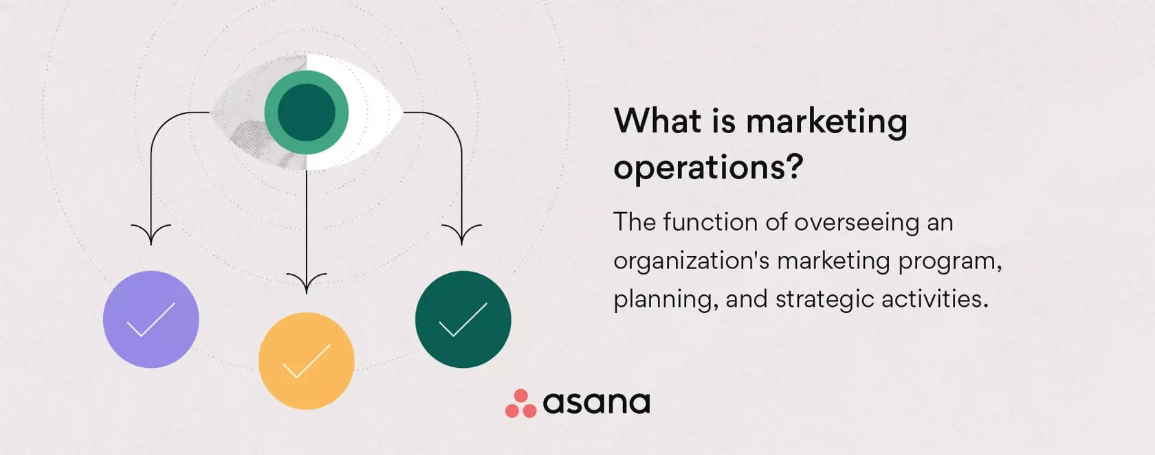 Build a Marketing Operations Strategy in 4 Steps [2023] • Asana