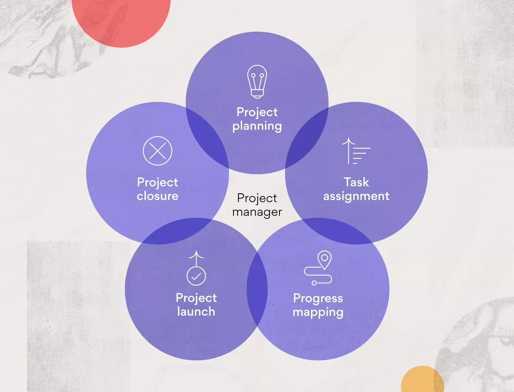 Product Manager vs. Project Manager: What To Know [2023] • Asana