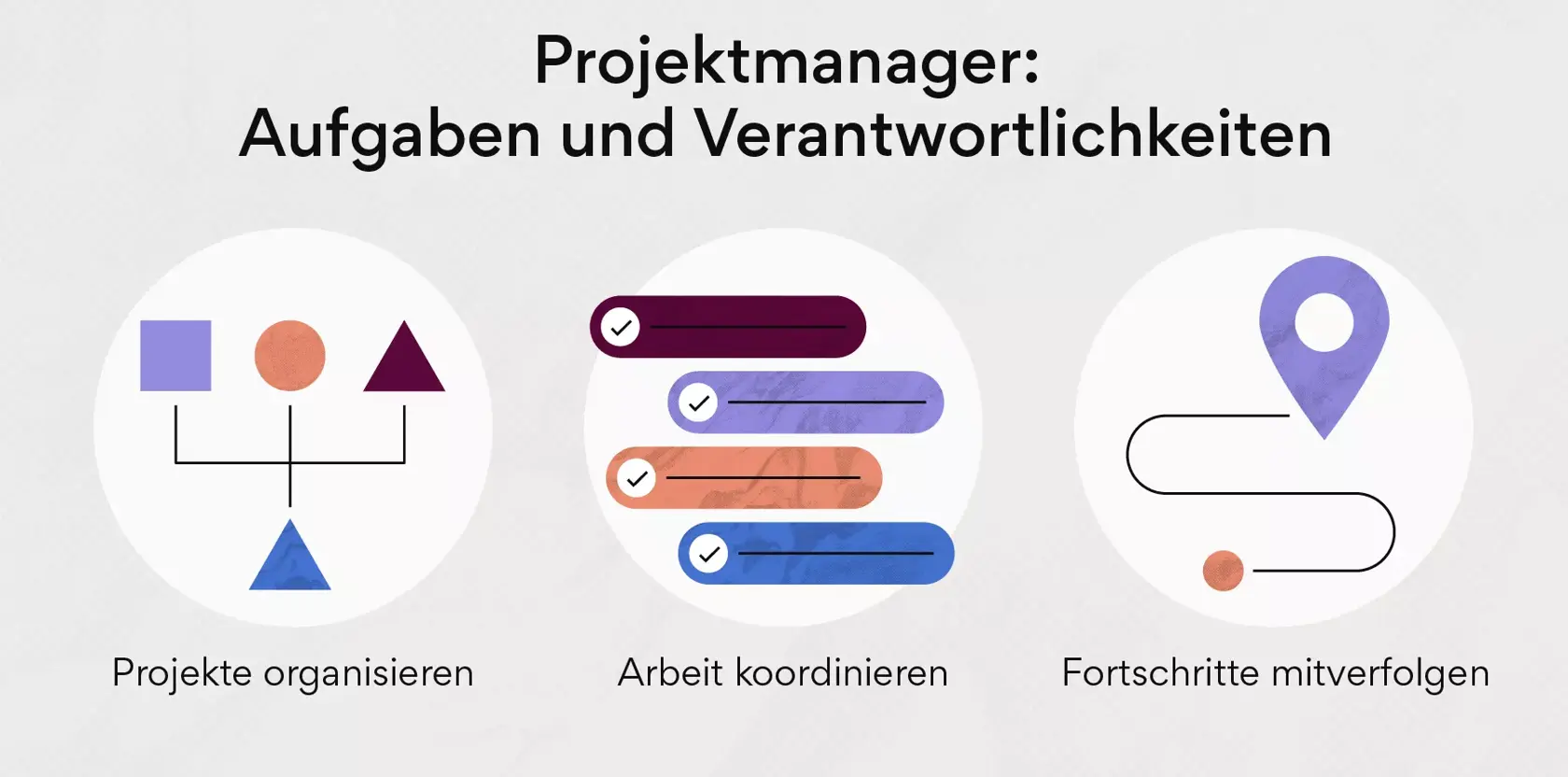 Projektmanager: Kompetenzen, Aufgaben und Zertifizierungen! [2024] • Asana