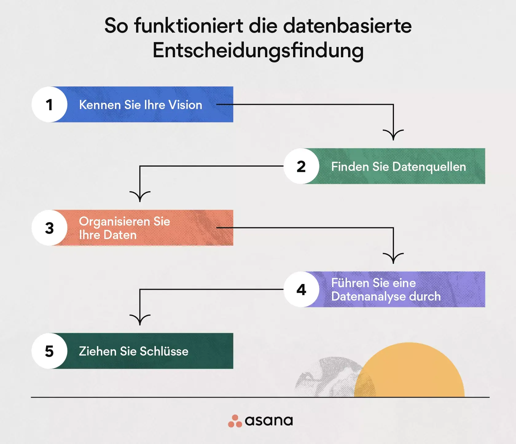 Datenbasierte Entscheidungsfindung für Einsteiger [2022] • Asana