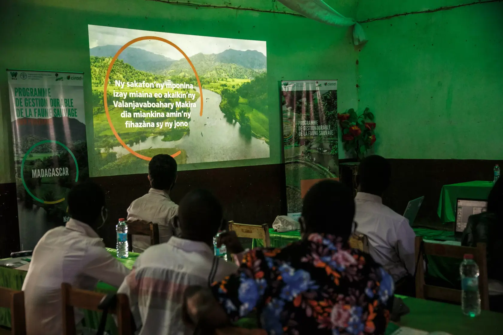 Asana Case Study - Wildlife Conservation Society • Asana