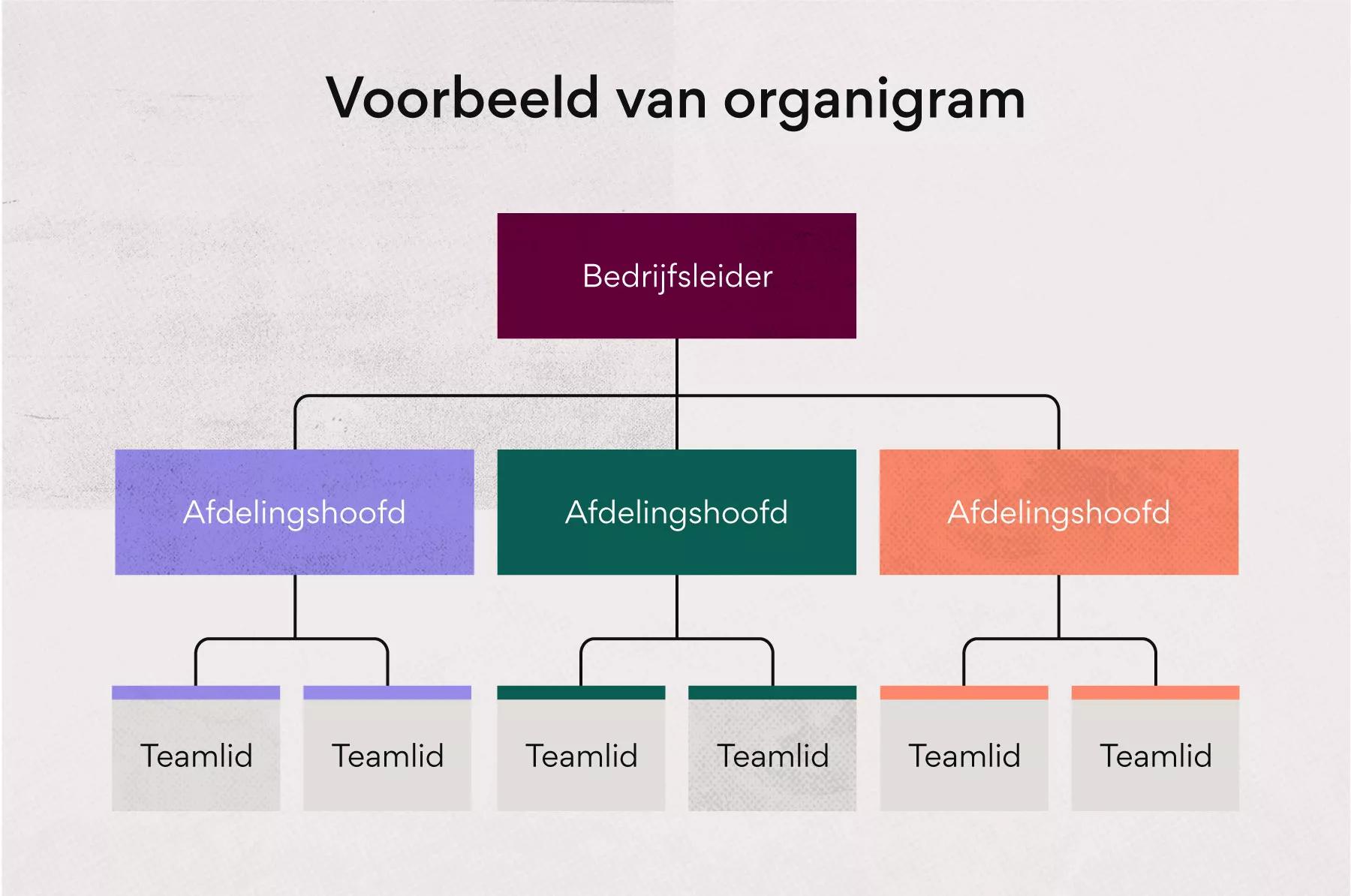 Organogram Maken Onze Organisatie