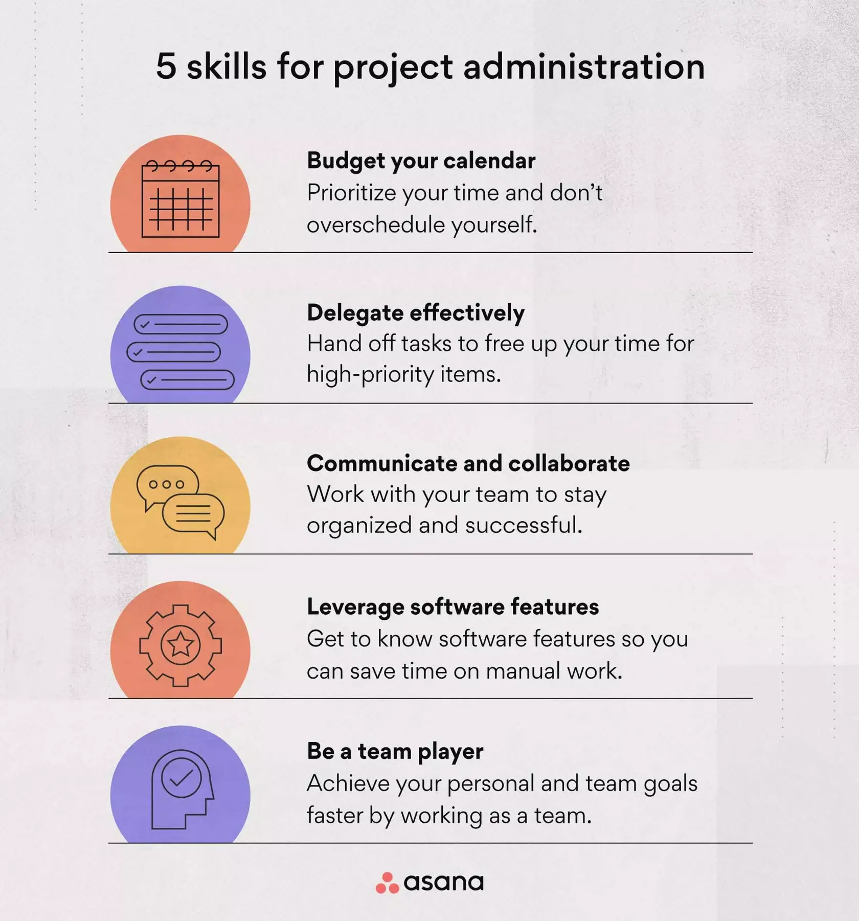 Project Administrator: 4 Roles in the Project Lifecycle [2023] • Asana
